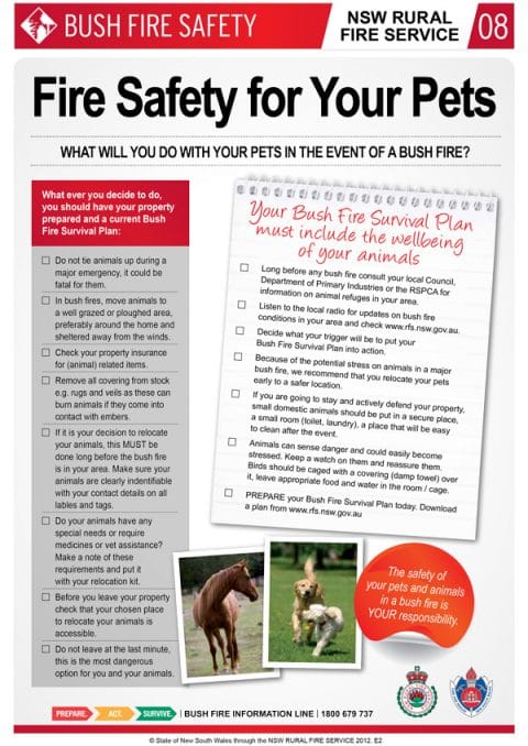 Bushfire Emergency Planning for Pets - Fur Life Vet