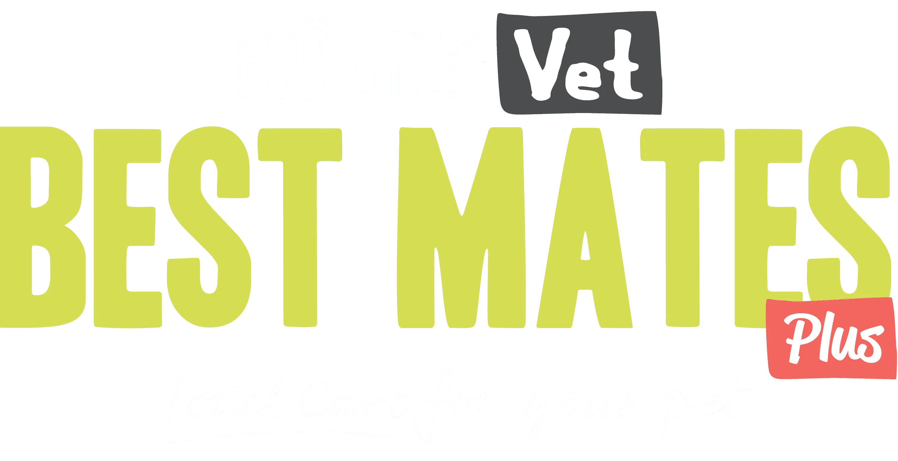 Pet Plus Logo